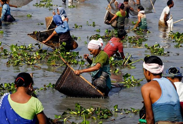 Who We Are – Small Scale Fish Workers